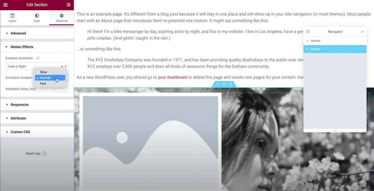 Elementor Motion Effects Tutorial Website Design Melbourne Wordpress Developer Ecommerce
